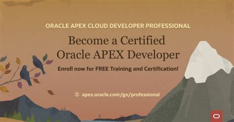 Oracleapex Oracle Oracle Apex Trainer