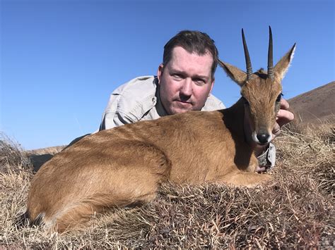 Oribi Pictures | AfricaHunting.com