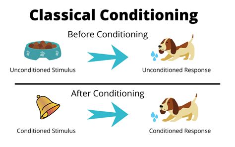 Examples Of Classical Conditioning Worksheets Library