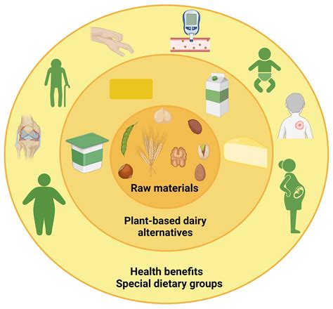Foods Free Full Text Plant Based Dairy Alternatives—a Future