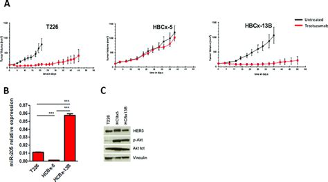 MiR 205 And HER3 Expression In PDX Models Tumor Growth Curves Of HER2