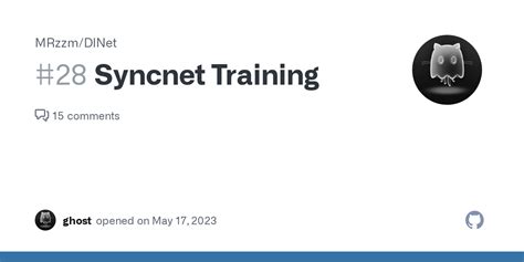 Syncnet Training Issue 28 MRzzm DINet GitHub