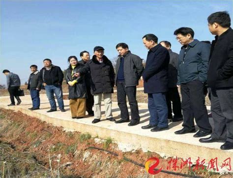 省農委黨組書記袁延文一行來株調研種植業結構調整工作 每日頭條