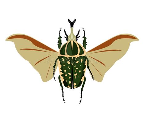 Polyphemus Illustration Stock Illustrations 196 Polyphemus