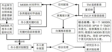 Winter Wheat Remote Sensing Recognition Method Capable Of Synthesizing Key Seasonal Aspect