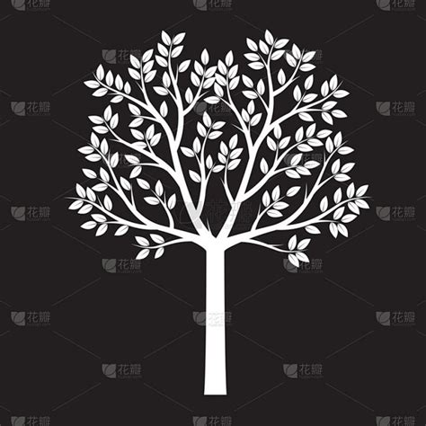 植物 绘画插图 轮廓 叶子 矢量 形状 菜园 白色 波兰 清新