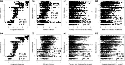 Pairwise Distance Matrices Of Mitochondrial Dna Mtdna Against Download Scientific Diagram