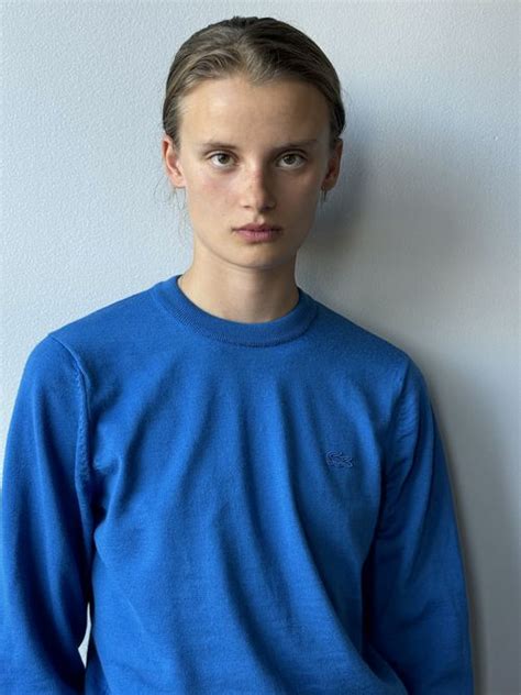 Saunders Model Detail By Year