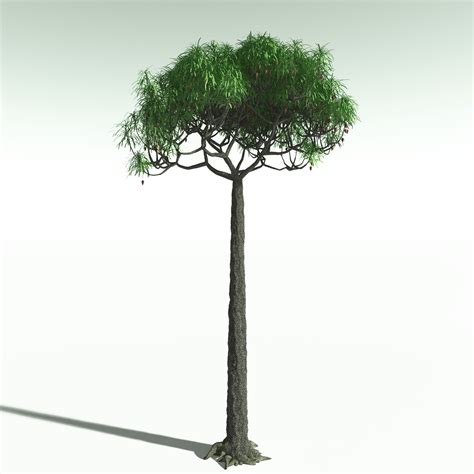 Everyplant Lepidodendron Aculeatum For Poser