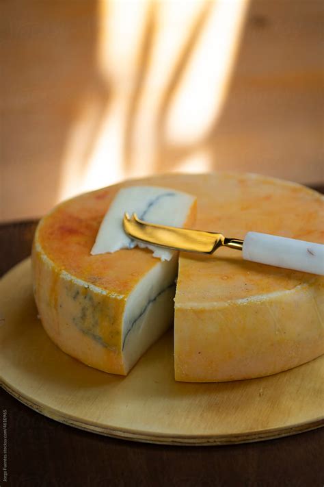 Golden Cheese By Stocksy Contributor Jorge Fuentes Stocksy