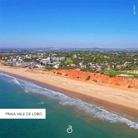 Daniel M Coelho On Linkedin Brightmangroup Portugal Algarve