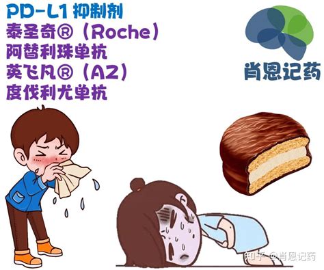 记住所有fda生物药 免疫检查点pd 1pd L1抑制剂 帕博利珠，纳武利尤，阿替利珠，度伐利尤单抗等 各种肿瘤 知乎