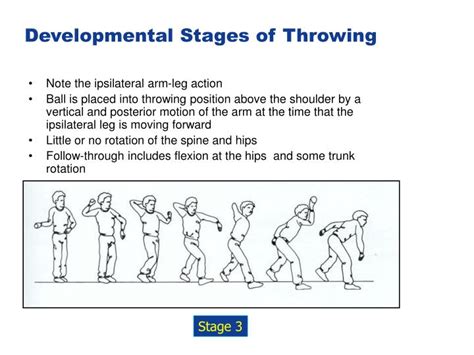 PPT Developing Fundamental Object Control Skills PowerPoint