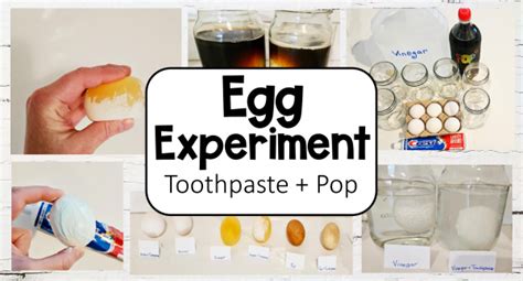 Science Stem Archives Hands On Teaching Ideas