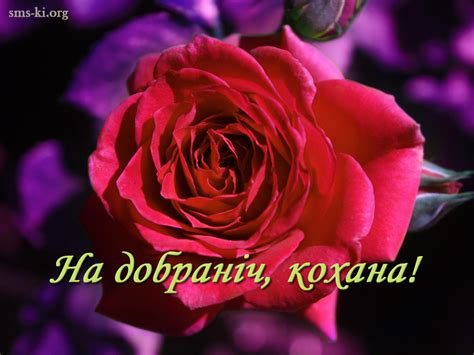 На добраніч дівчині Листівка На добраніч Завантажити на телефон