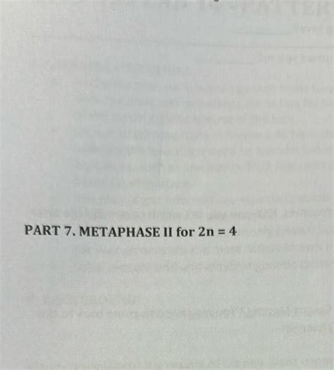 [answered] part 7 metaphase ii for 2n 4 kunduz