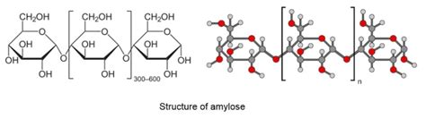 Amylose [ C6h10o5 N] Structure Properties And Uses Of Amylose