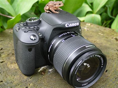 Настройка фотоаппарата Canon 550D , 1100D , 600D , 650D и 700D