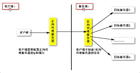 HTTPD之四 实现HTTPD正向代理与反向代理 一叶知秋 博客园