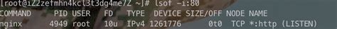 Linux基础命令之lsof、netstat、ps根据端口号查询进程pid以及根据进程查询来源程序lsof获取pid进程变量 Csdn博客