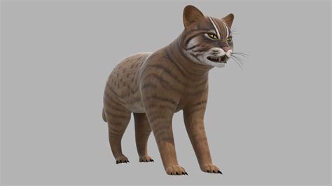 Lynx 3d Models Download Free3d
