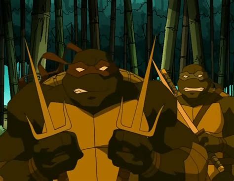 Tmnt 2003 Leo And Raph 2 By Hedwieapotter On Deviantart