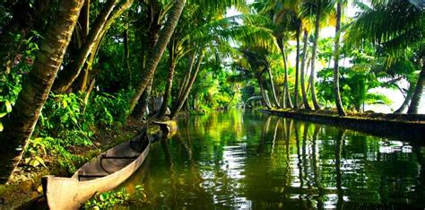 26 Best Restaurants In Pala Vegnonarabicchinese And More