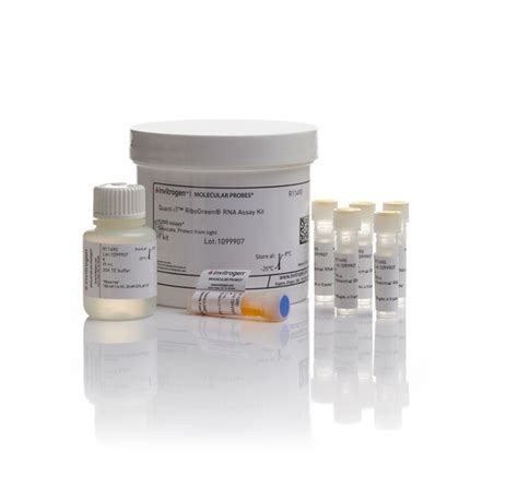 Quant It™ Ribogreen Rna Assay Kit And Ribogreen Rna Reagent Rediplate™ 96 Ribogreen™ Rna