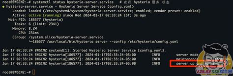Hysteria 节点搭建抢占宽带垃圾线路的救星大幅提升稳定性第二代歇斯底里Windows iOS 安卓 MacOS Openwrt全平台教程 V RaySSR综合网