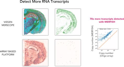 Neuroscience Showcase Vizgen
