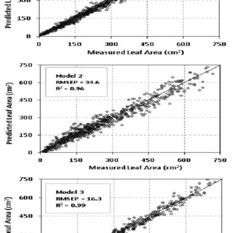 Relation Of Leaf Area To Leaf Length And Leaf Width For Combined Data Download Scientific