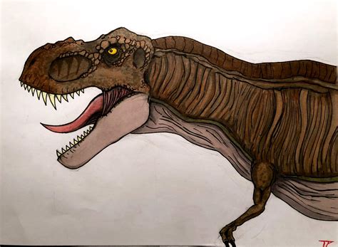 T Rex Jurassic Park Drawing