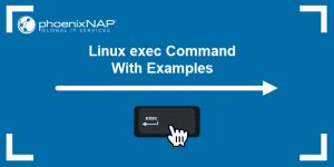 Linux Exec Command With Examples