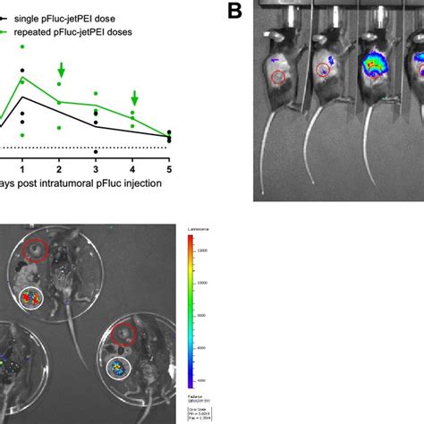 Chemical Structure Of Dotma And Dope Lipids Download Scientific Diagram