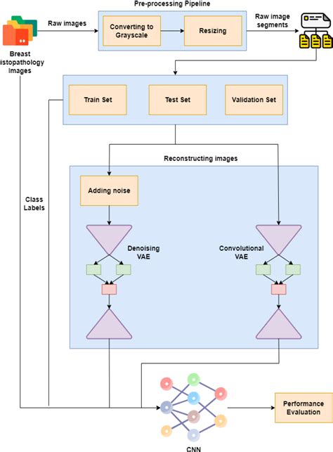 Figure 1 From Enhancing The Breast Histopathology Image Analysis For