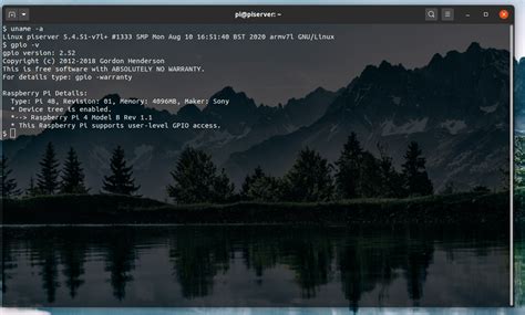 252 Version For Ubuntu On Rpi4b · Issue 82 · Wiringpiwiringpi · Github