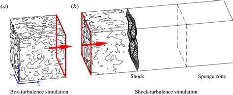 Large Eddy Simulation Investigation Of The Canonical Shockturbulence Interaction Journal Of
