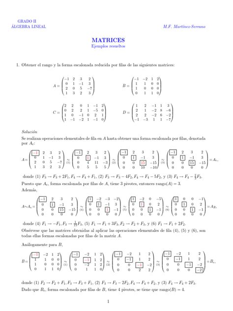 Tema1 Matrices Y Sistemas De Ecuaciones Lineales Pdf Conceptos