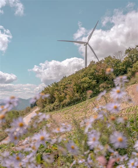 Sider Class 라이트룸 온라인 사진 보정 클래스 사이드 프로젝트 Side Project