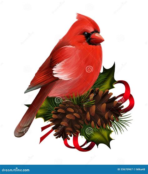 Red Cardinal Stock Illustration Illustration Of Evergreen 33670967