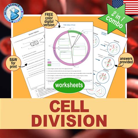 Binary Fission Vs Mitosis