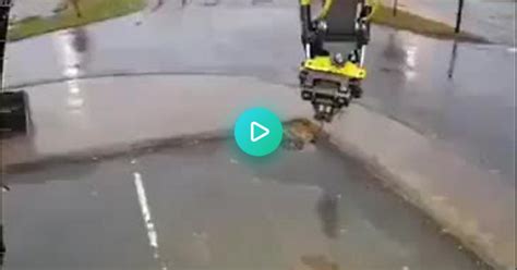 Replacing A Storm Drain Album On Imgur