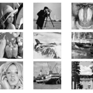 Data images Gaussian blur σ 2 Gaussian noise NL 2 510 3 Top to Download Scientific