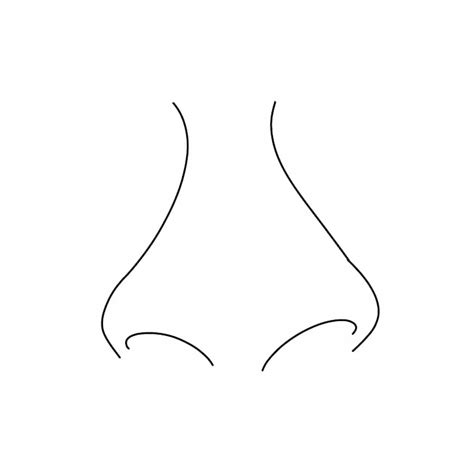 Tipos De Nariz Humano Tipos De Narices Y Cómo Diferenciarlos Tu