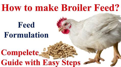 How To Make Broiler Starter And Finisher Feed