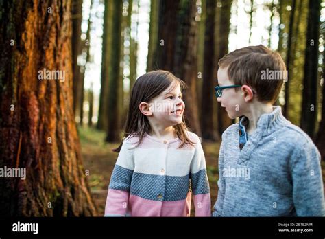 Redwood Park Primary School Hi Res Stock Photography And Images Alamy
