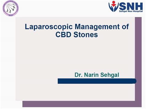Presentation Laparoscopic Surgery Smasti
