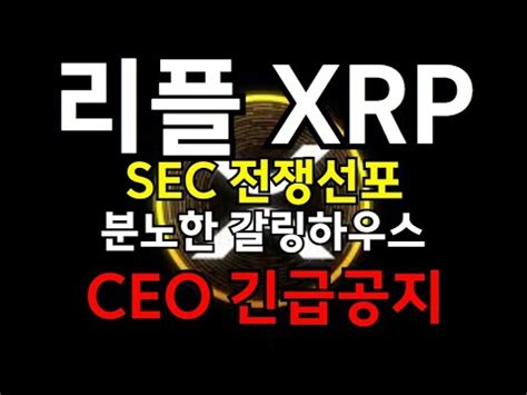 Ceo Youtube