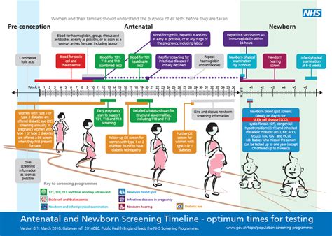 Induced Labor Timeline