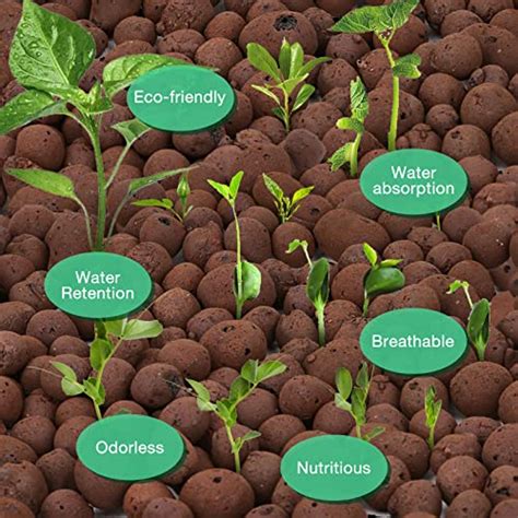 Leca Clay Pebbles For Hydroponics And Gardening House Plants Expert